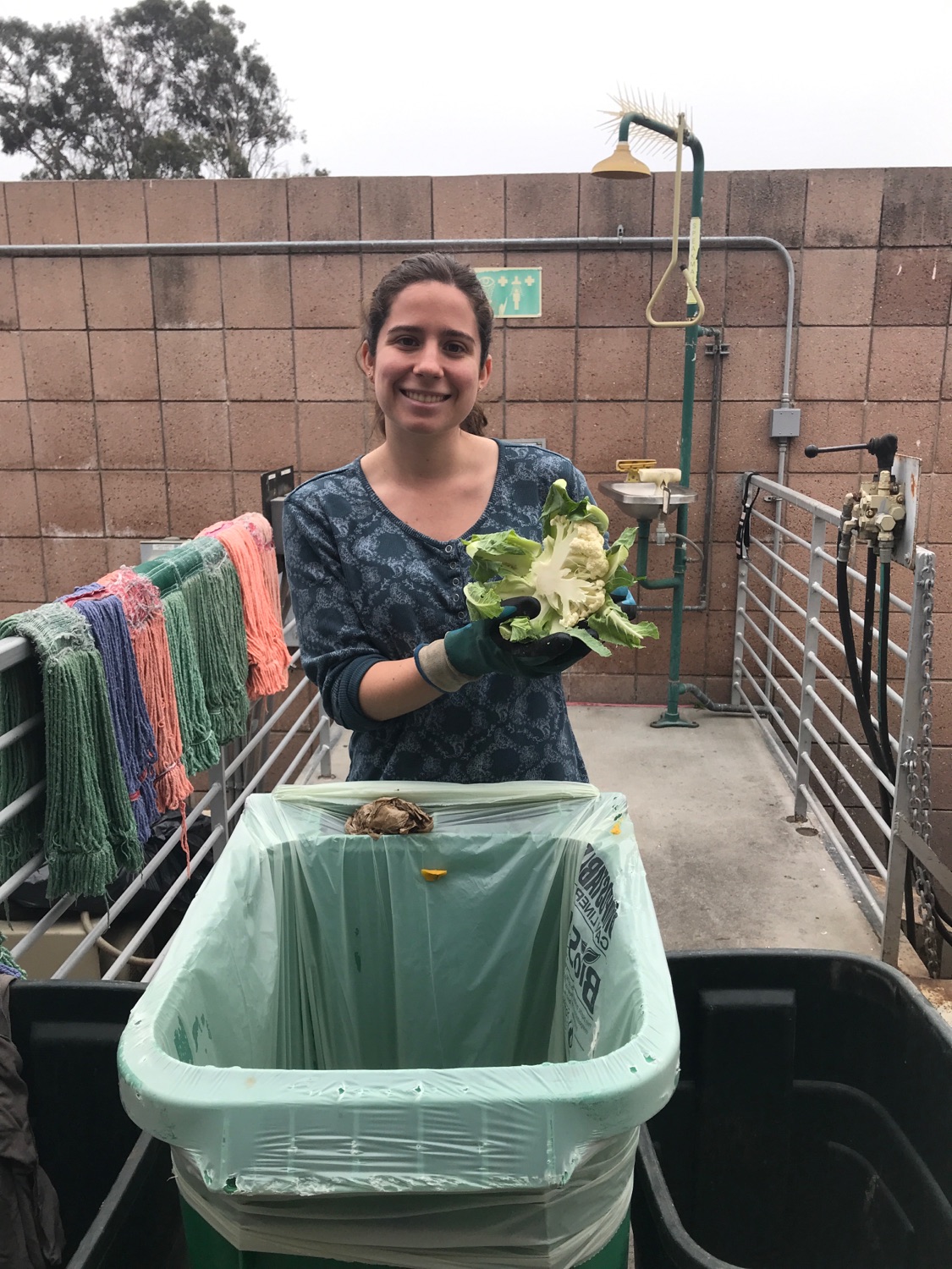 UCSB Composting – AS Department of Public Worms (DPW)