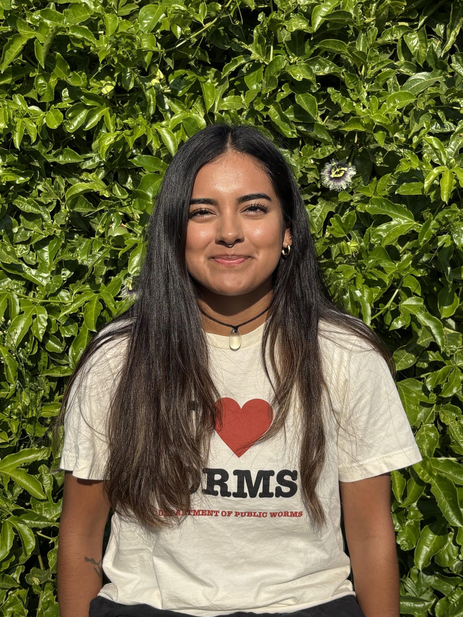 AS Department of Public Worms (DPW)